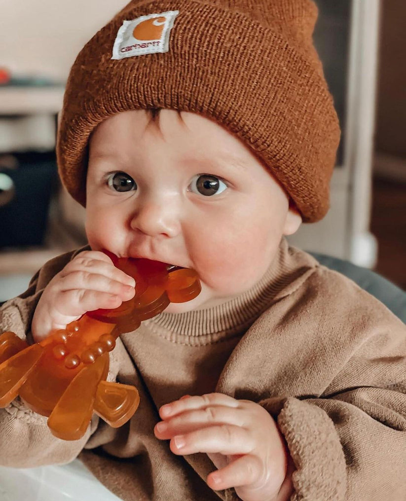 The Little Bamber - Natural Rubber & Baltic Amber Teething Toy – Bambeado